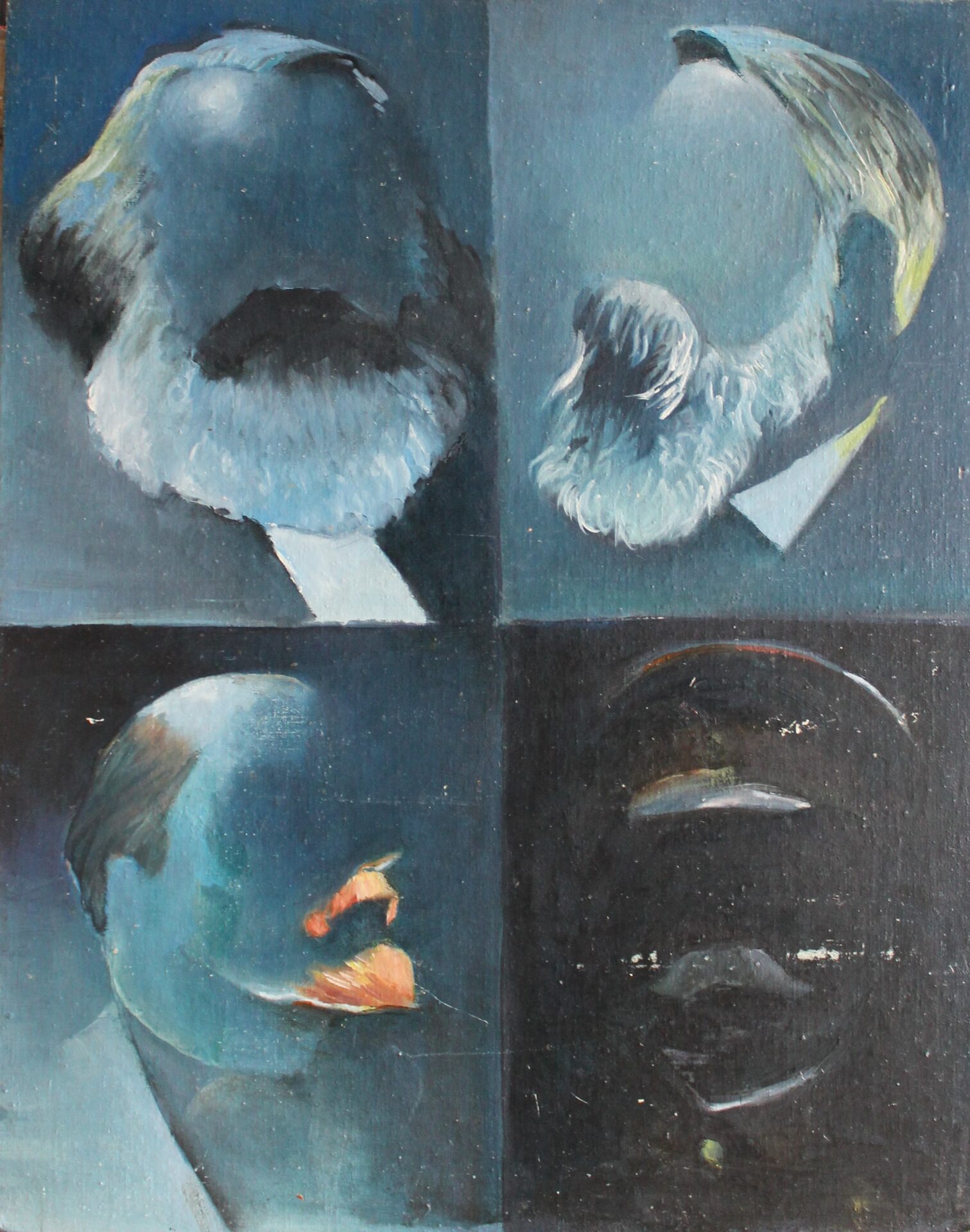 Piktura – Art Studio Halimi